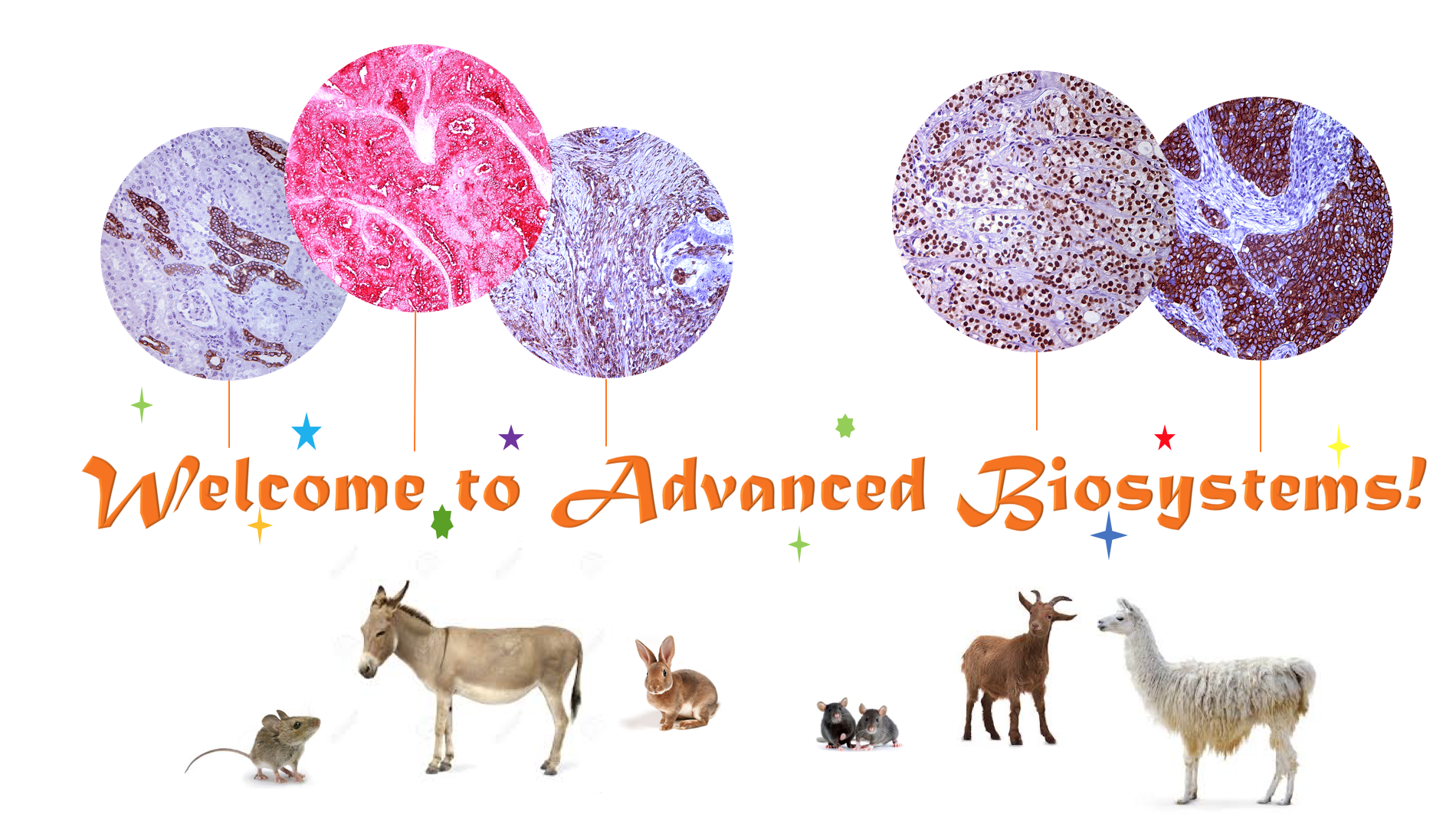 Home - Advanced Biosystems Inc